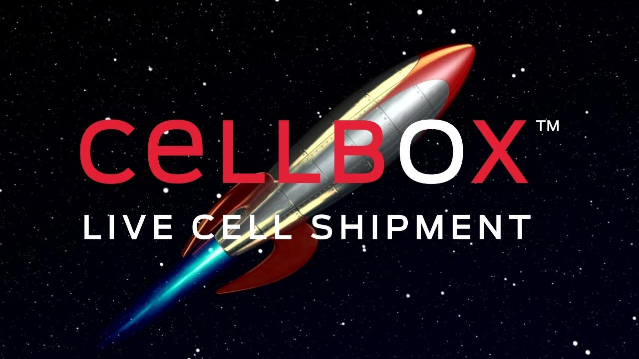 Cellbox Solutions Submits Device Master File to the U.S. FDA | Cellbox ...