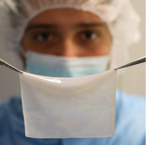 Bioprinted Dermo-Epidermal Subsitute - Poieskin® | Cellbox Solutions