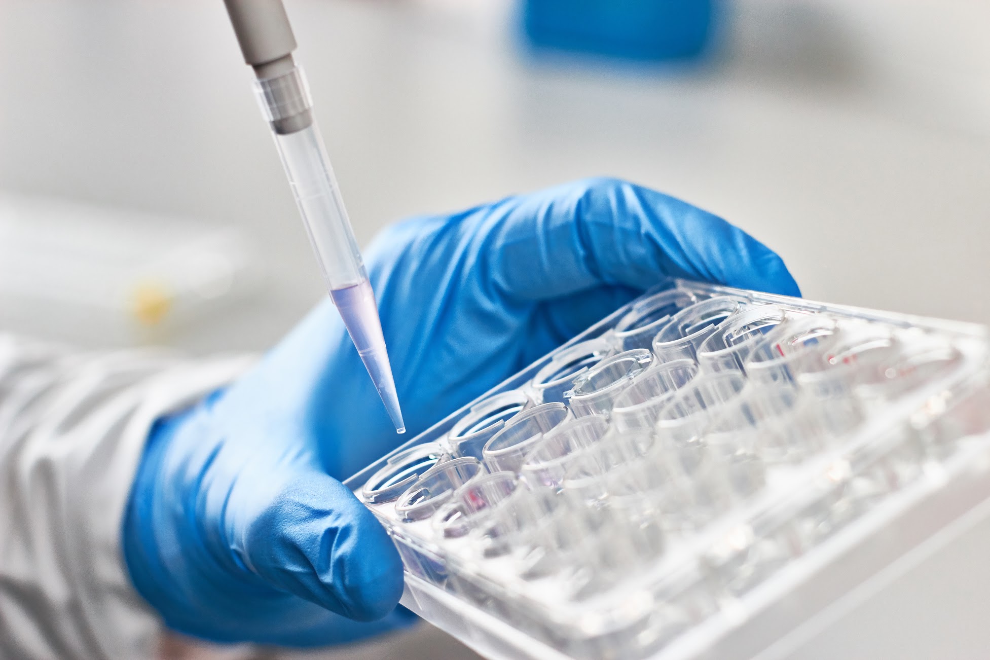Retinal Organoids for single-cell RNA-Sequencing | Cellbox Solutions